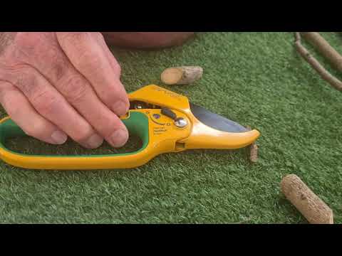 2WP Ratchet Secateurs – DualKut Mk. VI – Winland Home & Garden